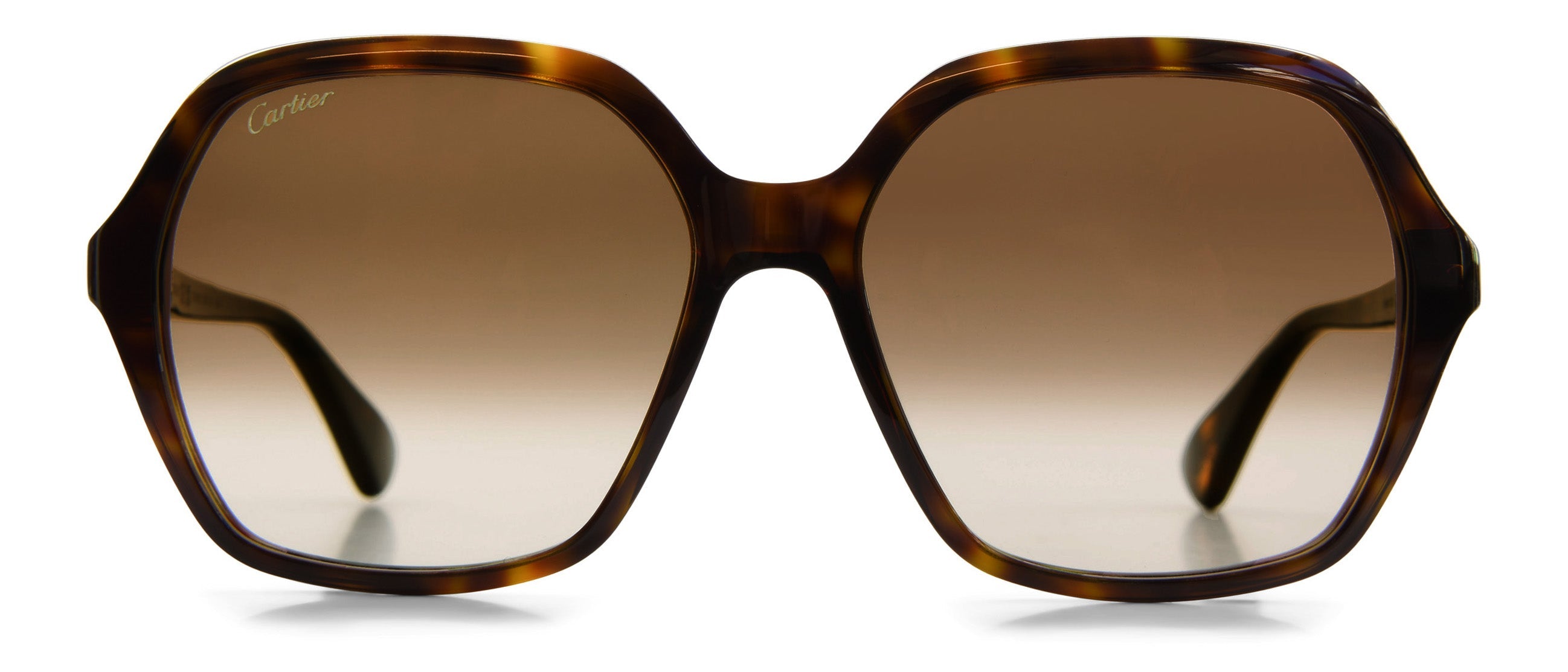 Cartier | CT0470S Sun | Visionist